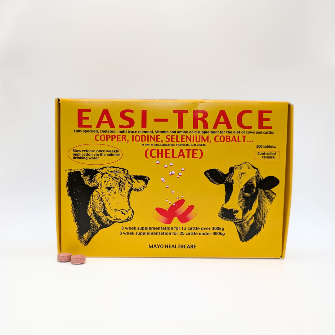 Cattle – Mayo Animal Healthcare