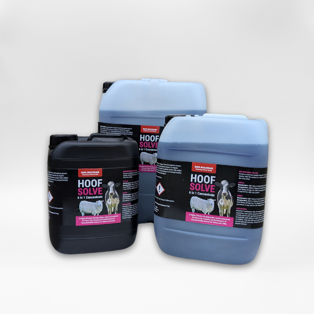 Cattle – Mayo Animal Healthcare