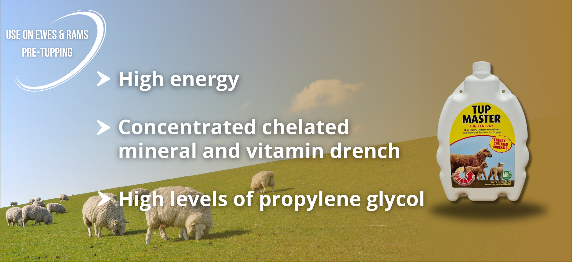 Tup Master – Mayo Animal Healthcare